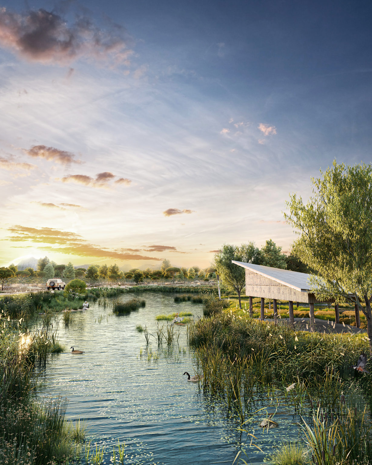 OFFICE FOR COLLECTIVE ARCHITECTUREHidden Valley Ponds - OFFICE FOR ...